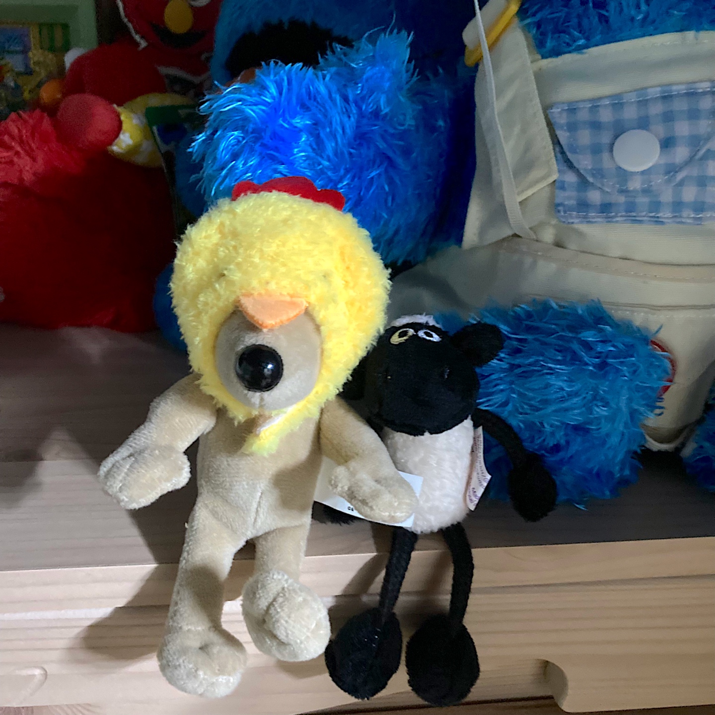 그로밋과 숀🐾 | 콜리(Colley)