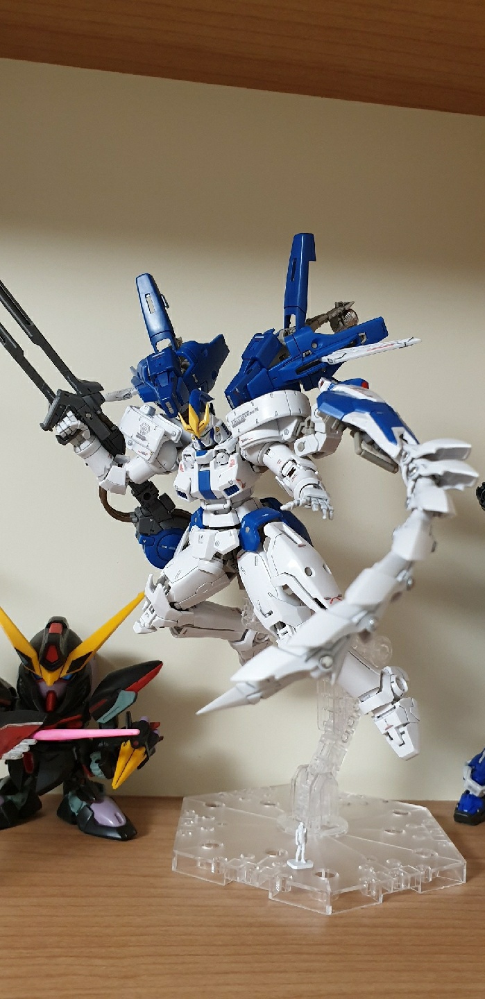 RG 톨기스3 | 콜리(Colley)