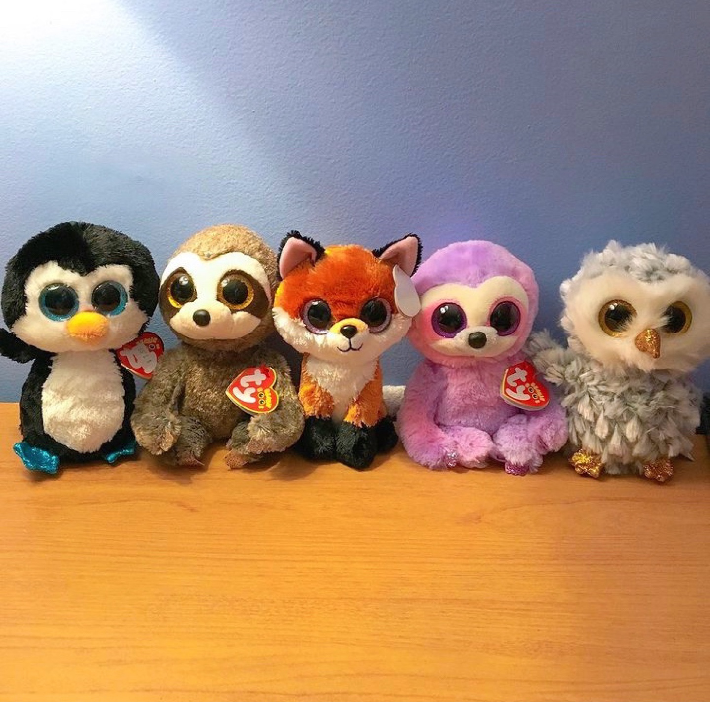 캐나다에서 동생들 주려고 사왔던 인형 | 콜리(Colley)