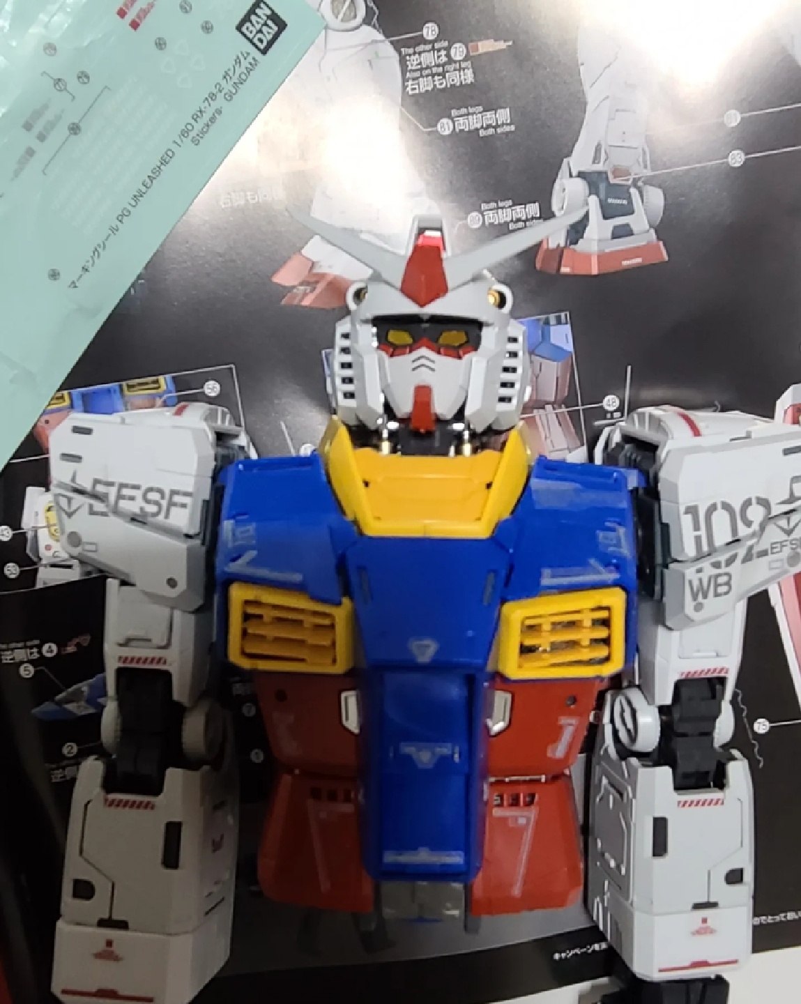 #pg #pg언리쉬드 #pgunlished | 콜리(Colley)