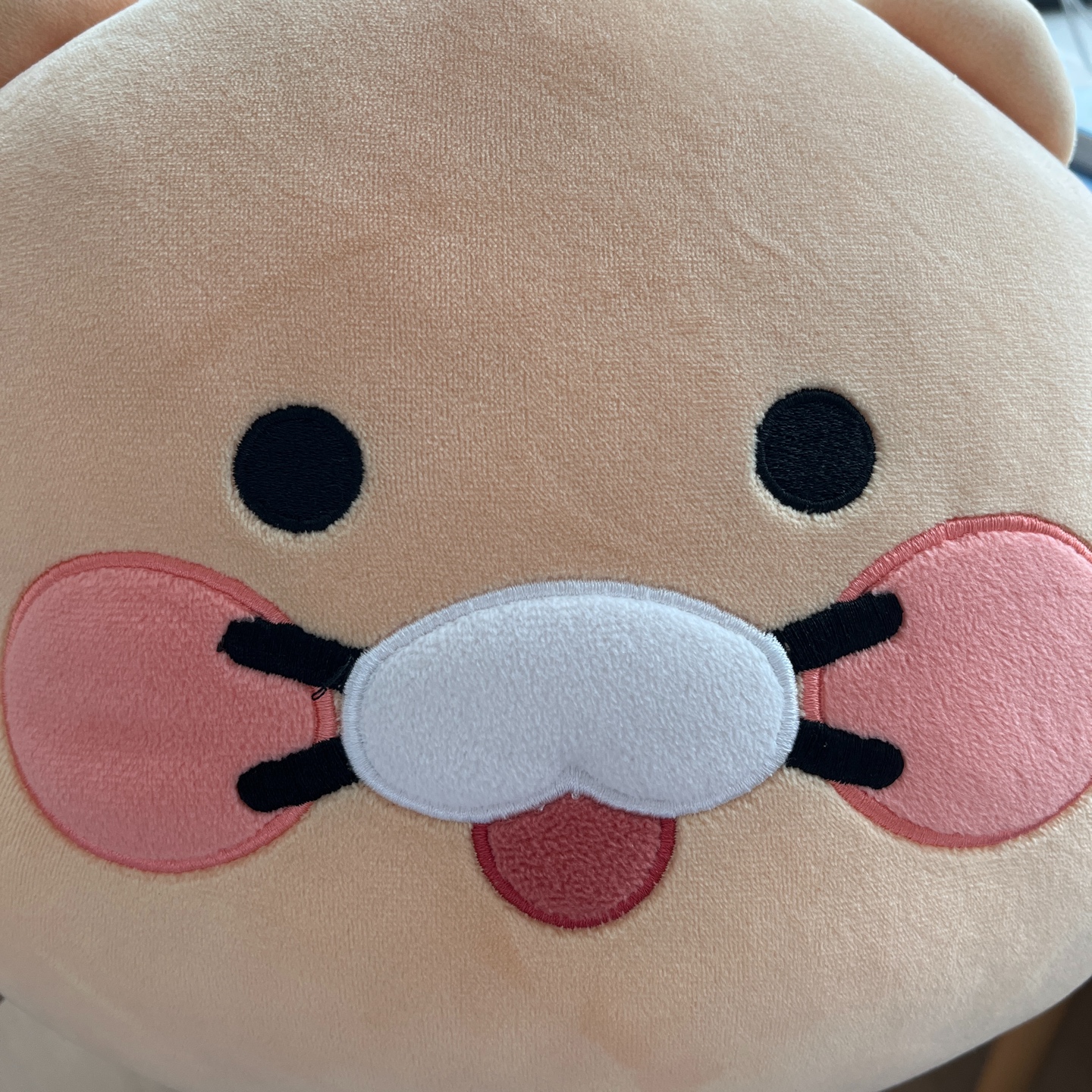 본문을 입력하세요 | 콜리(Colley)