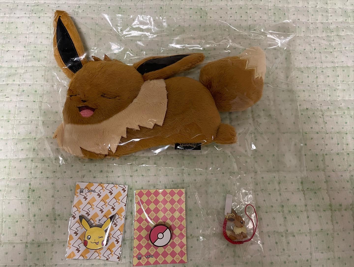 귀여운 포켓몬!! 이브이 납작 파우치 졸귀^^ | 콜리(Colley)