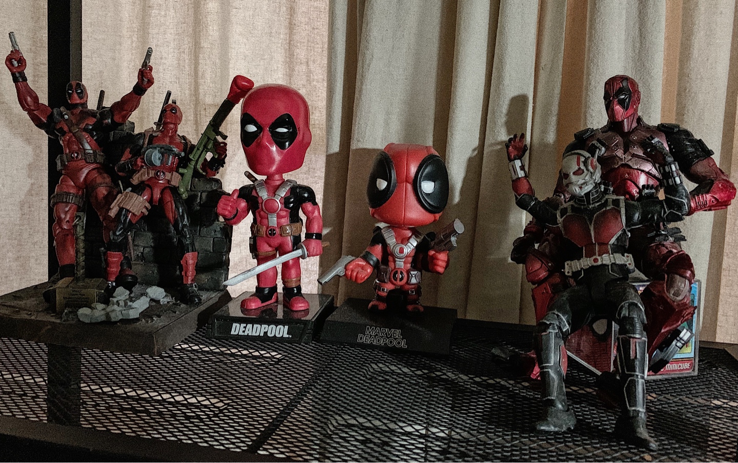 📸 | 콜리(Colley)