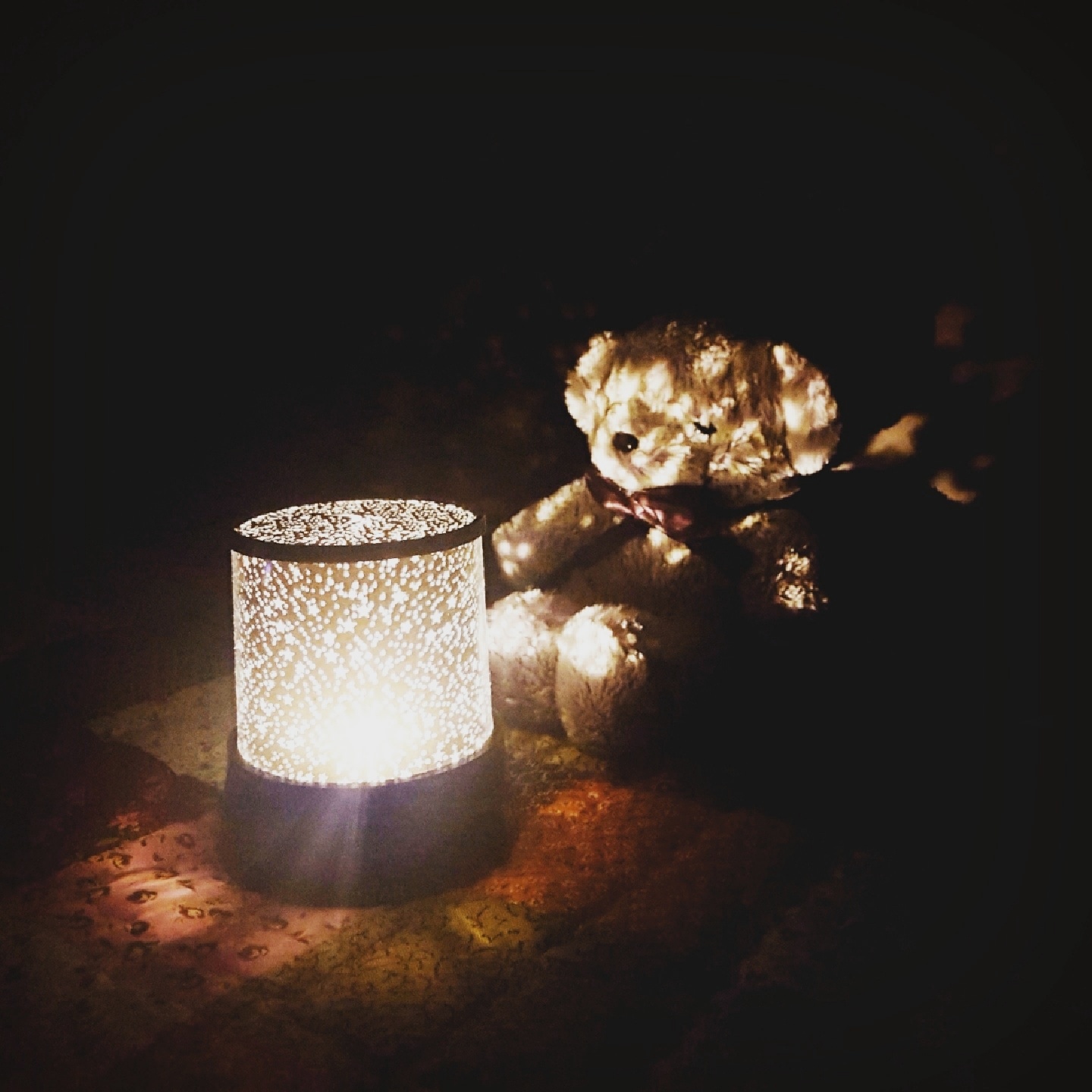무드등과 곰인형 | 콜리(Colley)