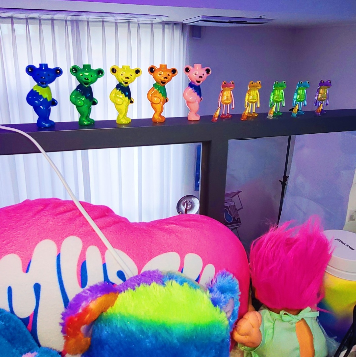 rainbow zone 🌈 | 콜리(Colley)