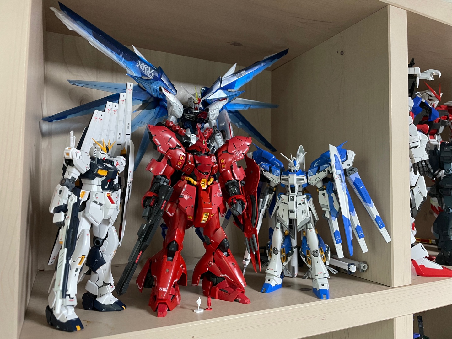 명품 RG 3인방 | 콜리(Colley)