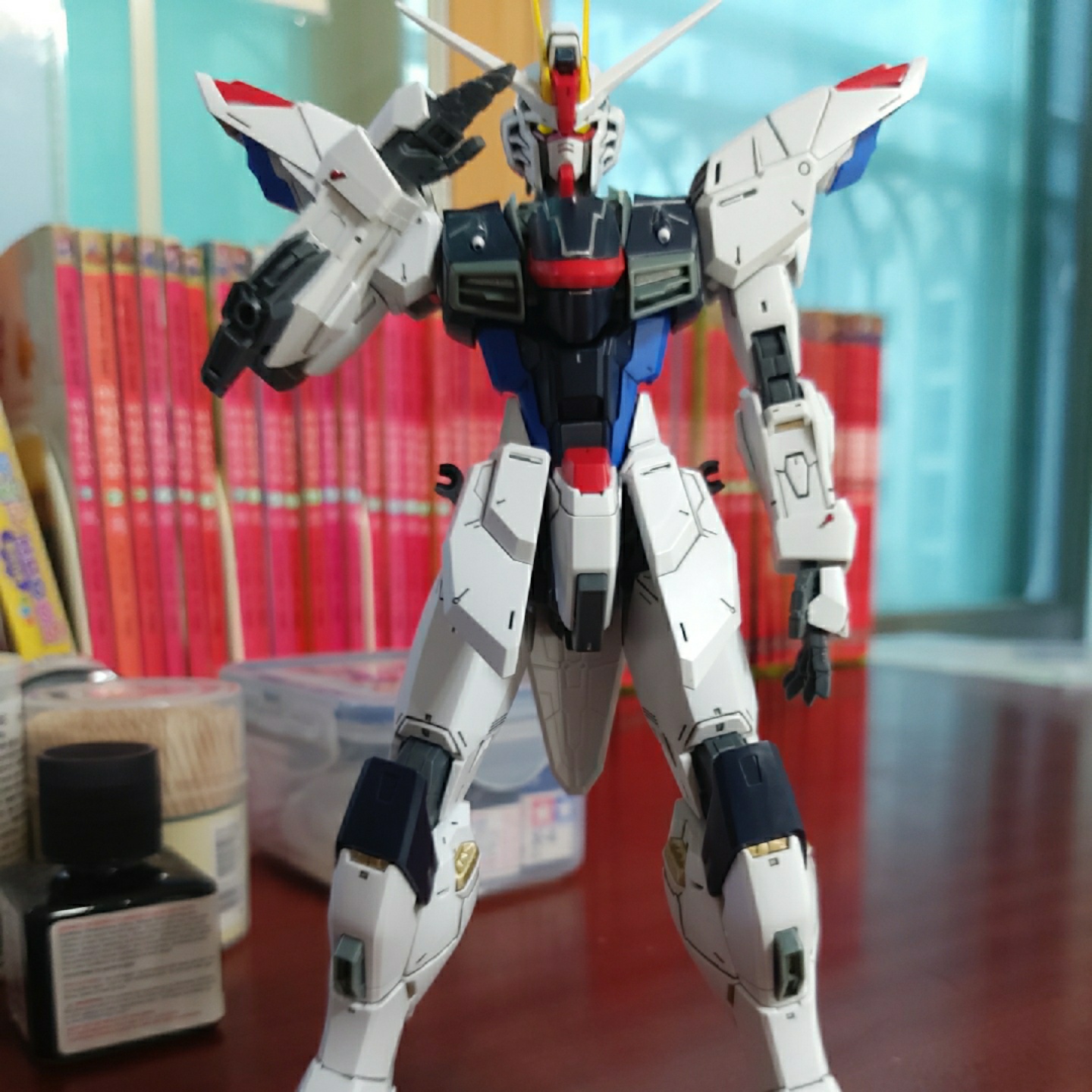 MG 프리덤 2.0 | 콜리(Colley)