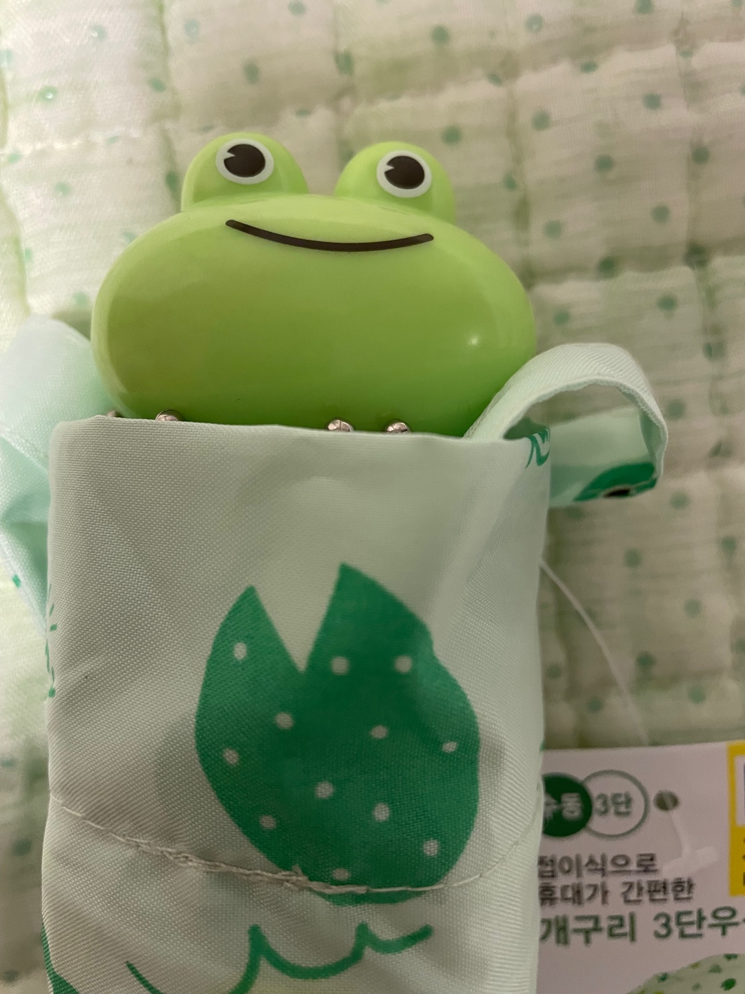 다이소 개구리 3단 경량우산 | 콜리(Colley)