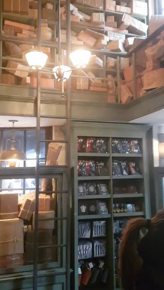 USJ 해리포터존의 올빼미상점🦉 | 콜리(Colley)