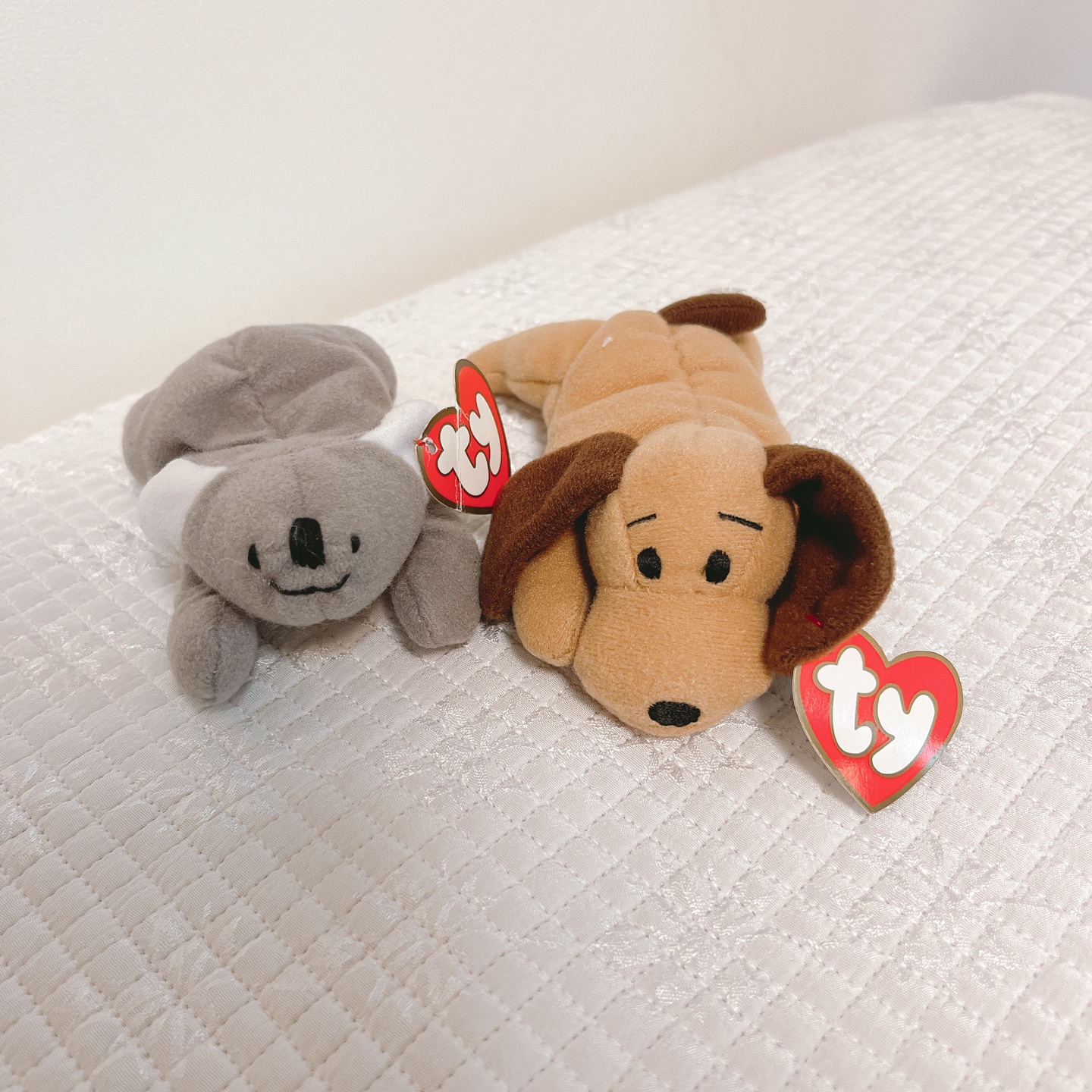 맥토이 ty | 콜리(Colley)