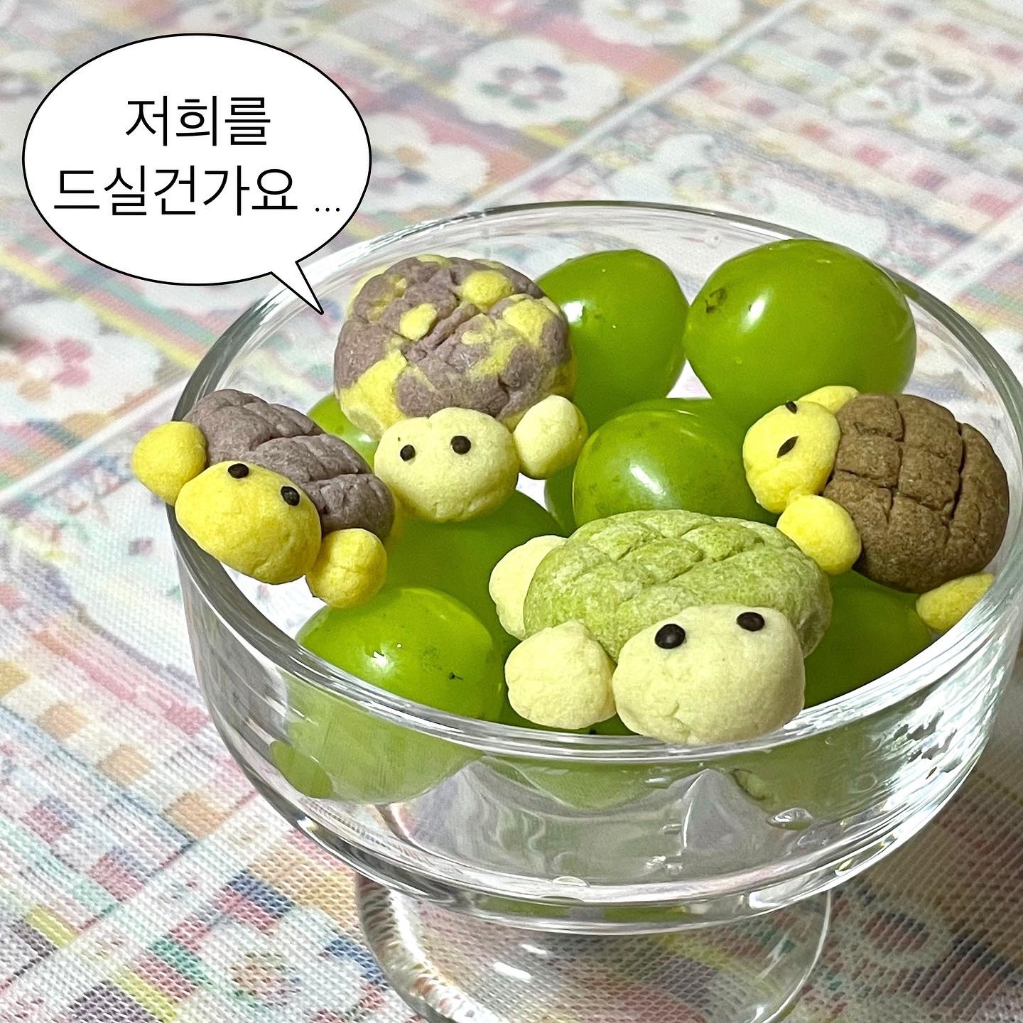 거북이 칭구들 🐢 | 콜리(Colley)