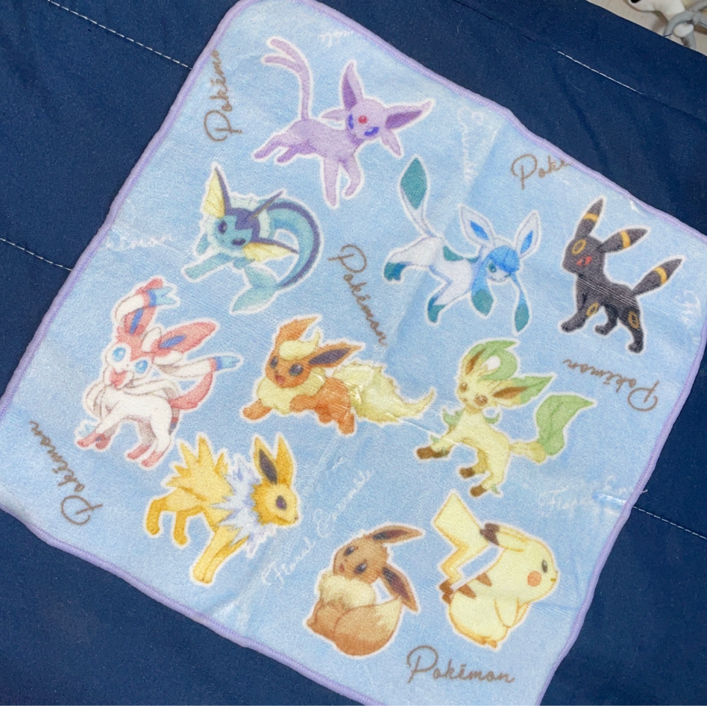 포켓몬 이브이 시리즈 손수건 | 콜리(Colley)