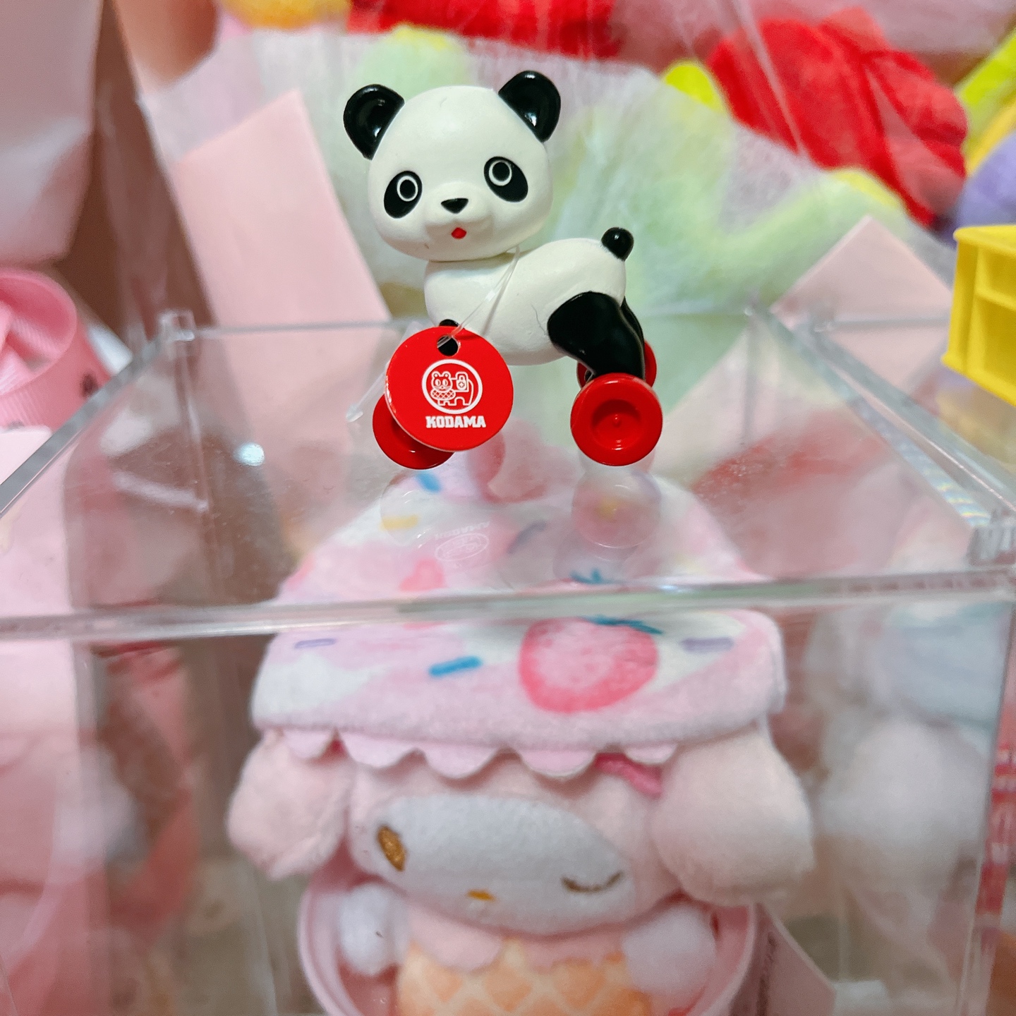 이름은 모르는 곰 콜리 Colley