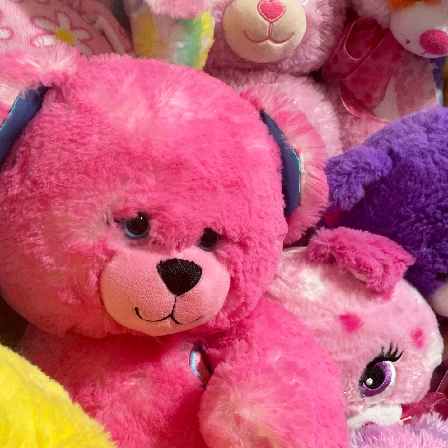 빌드어베어 | 콜리(Colley)