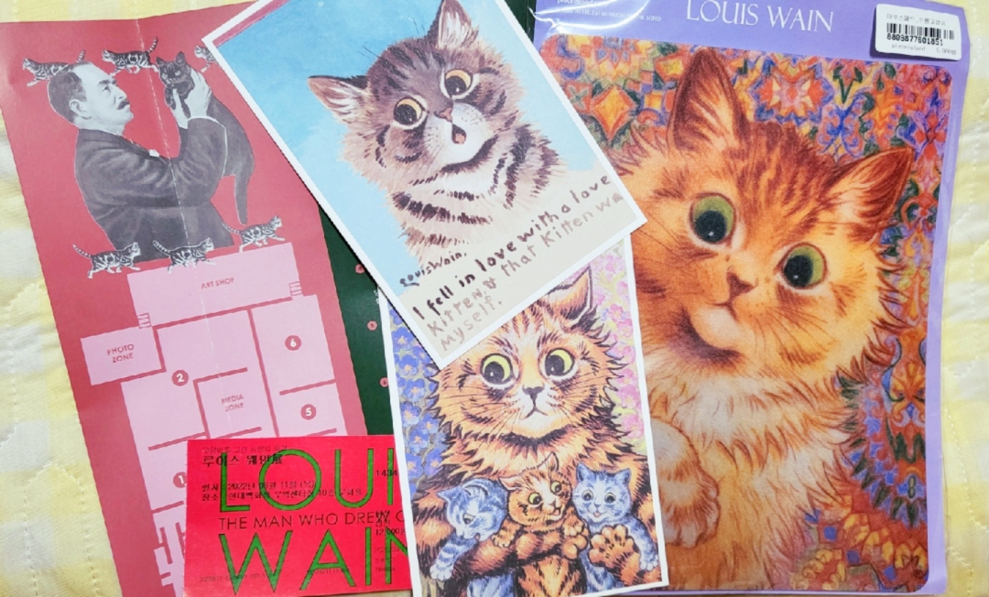 ㅜㅜ 진짜 너무 귀엽고 예쁘구 | 콜리(Colley)