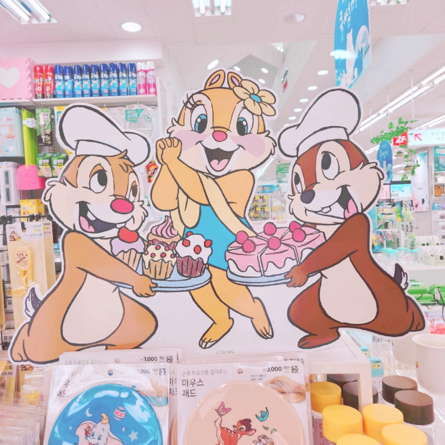 ♥️ | 콜리(Colley)