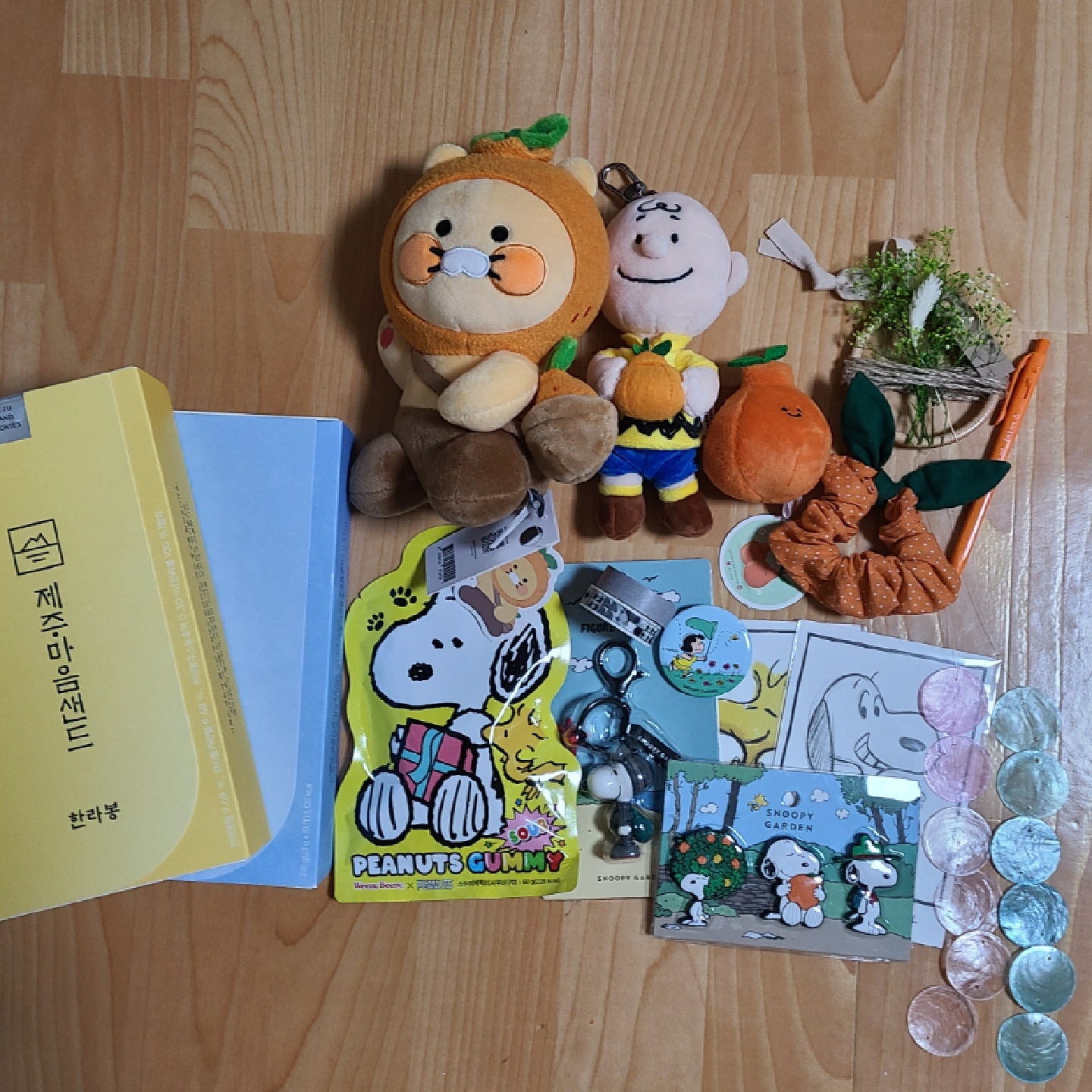 제주도 기념품🍊 | 콜리(Colley)