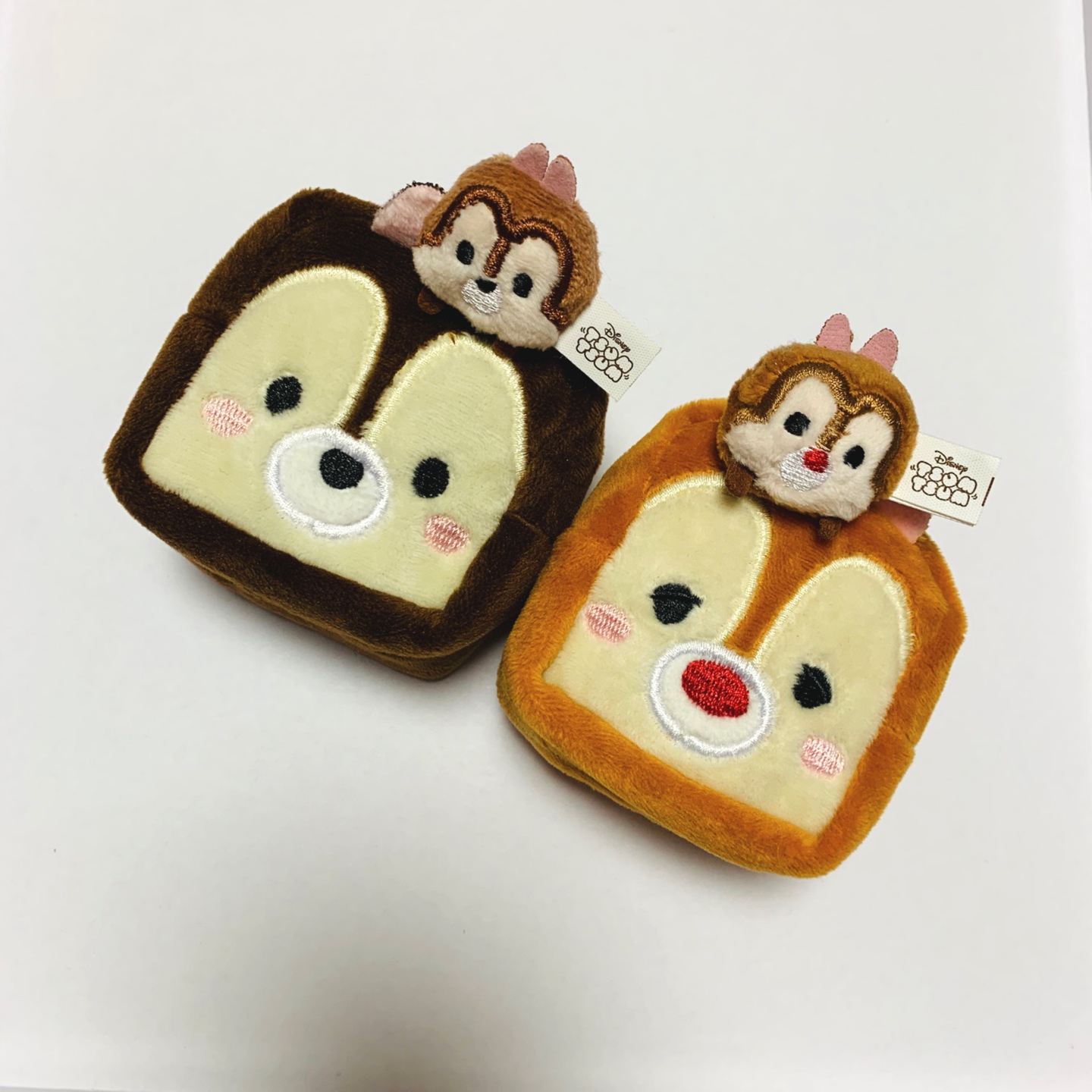 🐿 🐿 | 콜리(Colley)