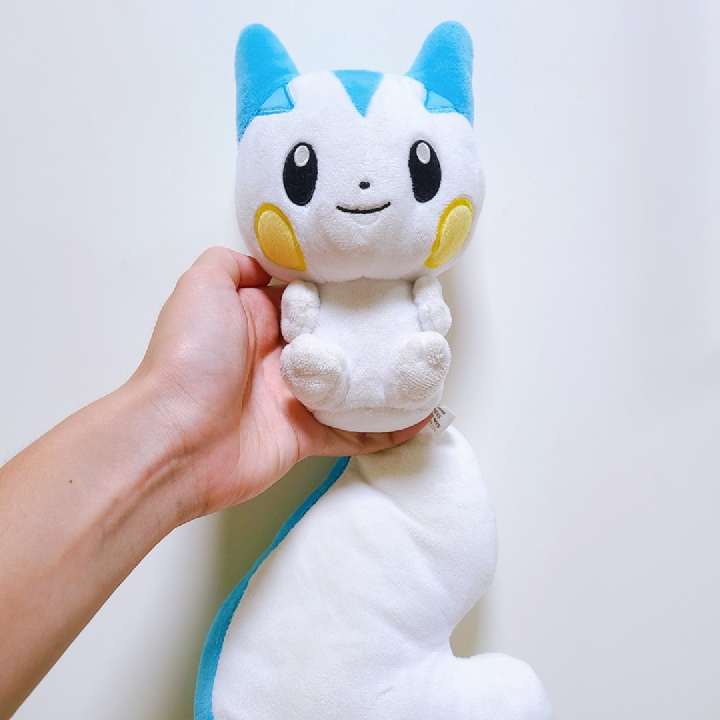 어쩌다 보니 줄무늬가 파란색인 것이 공통점 😁 | 콜리(Colley)