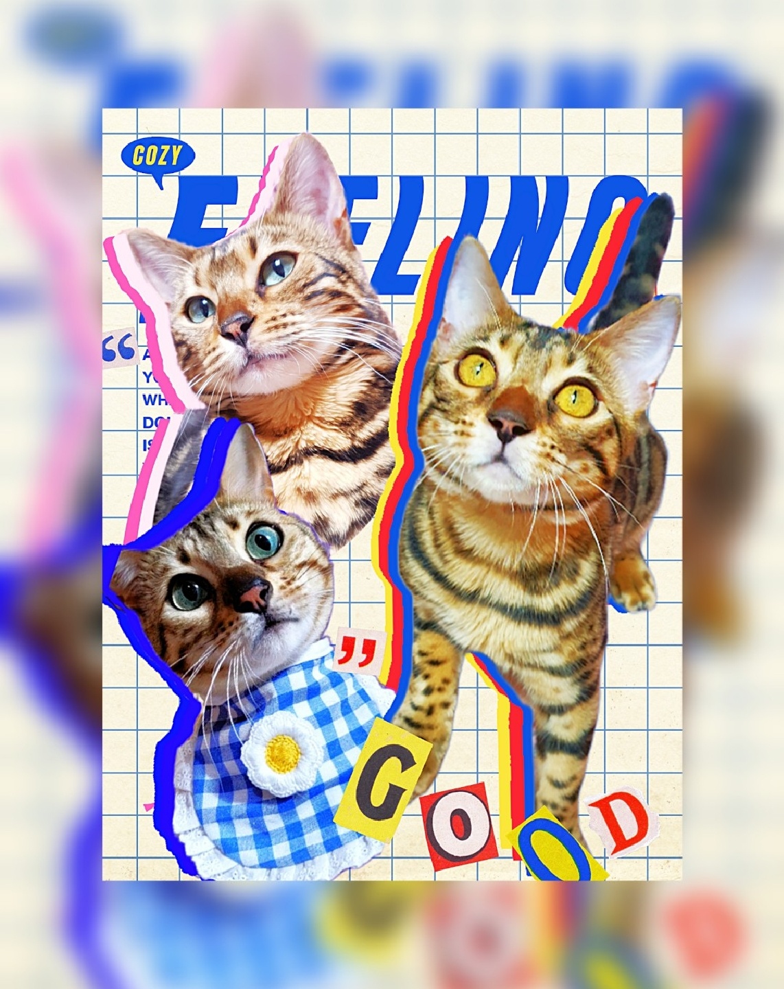 포토북 표지 | 콜리(Colley)