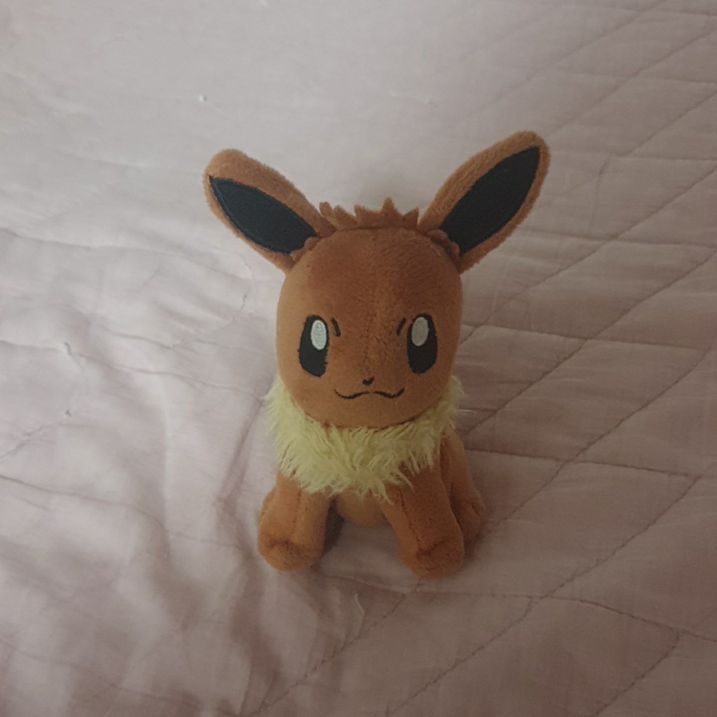 포켓몬 이브이 인형이에요 | 콜리(Colley)