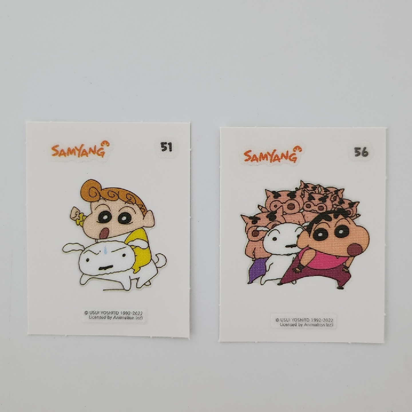 주변에서 하나씩 주시네요😳👍 | 콜리(Colley)