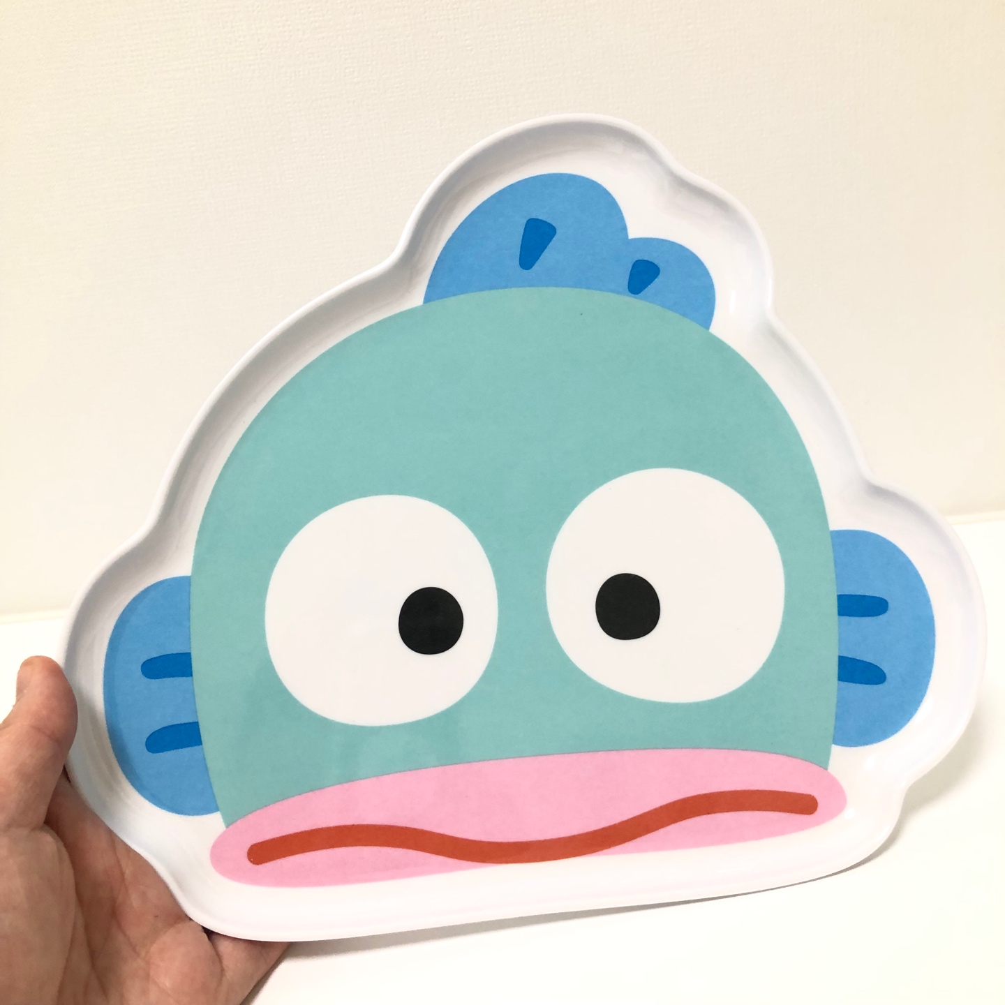 11등상도 너무기엽잖아요! | 콜리(Colley)