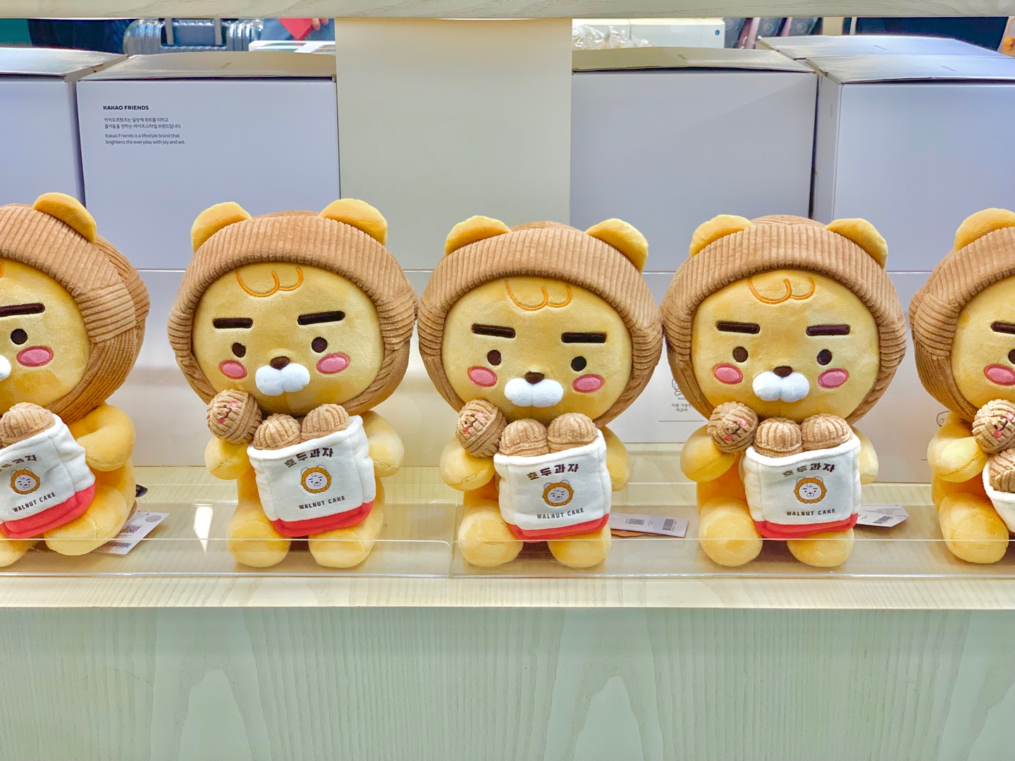 카카오프렌즈 휴게소 스토어에서만 파는 호두과자 라이언ㅌ인형이예요! | 콜리(Colley)