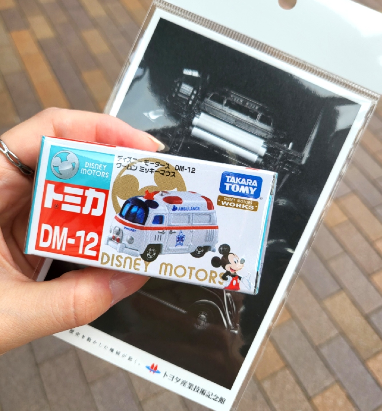 도요타 박물관에서 GET 🏻 | 콜리(Colley)