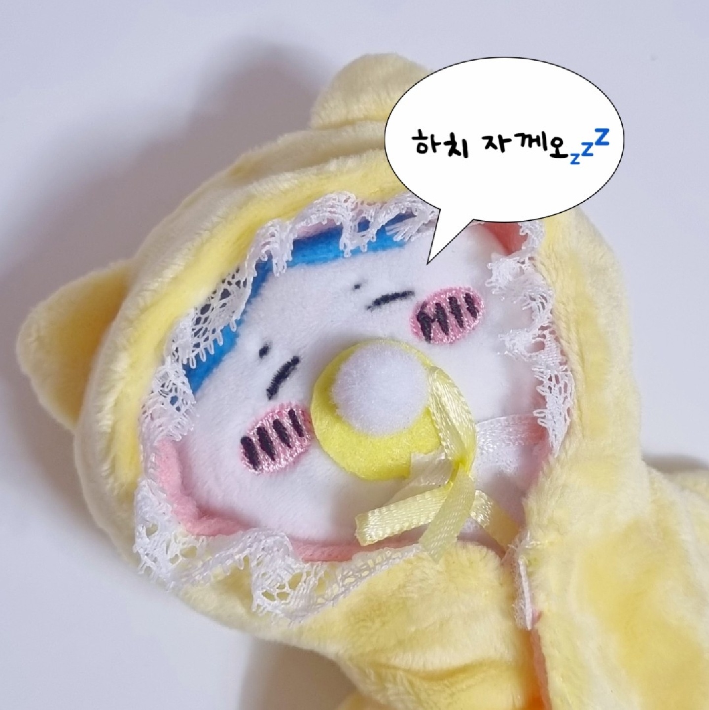 진짜 자는것 같아서 귀엽다 ㅎㅎ 콜리 Colley