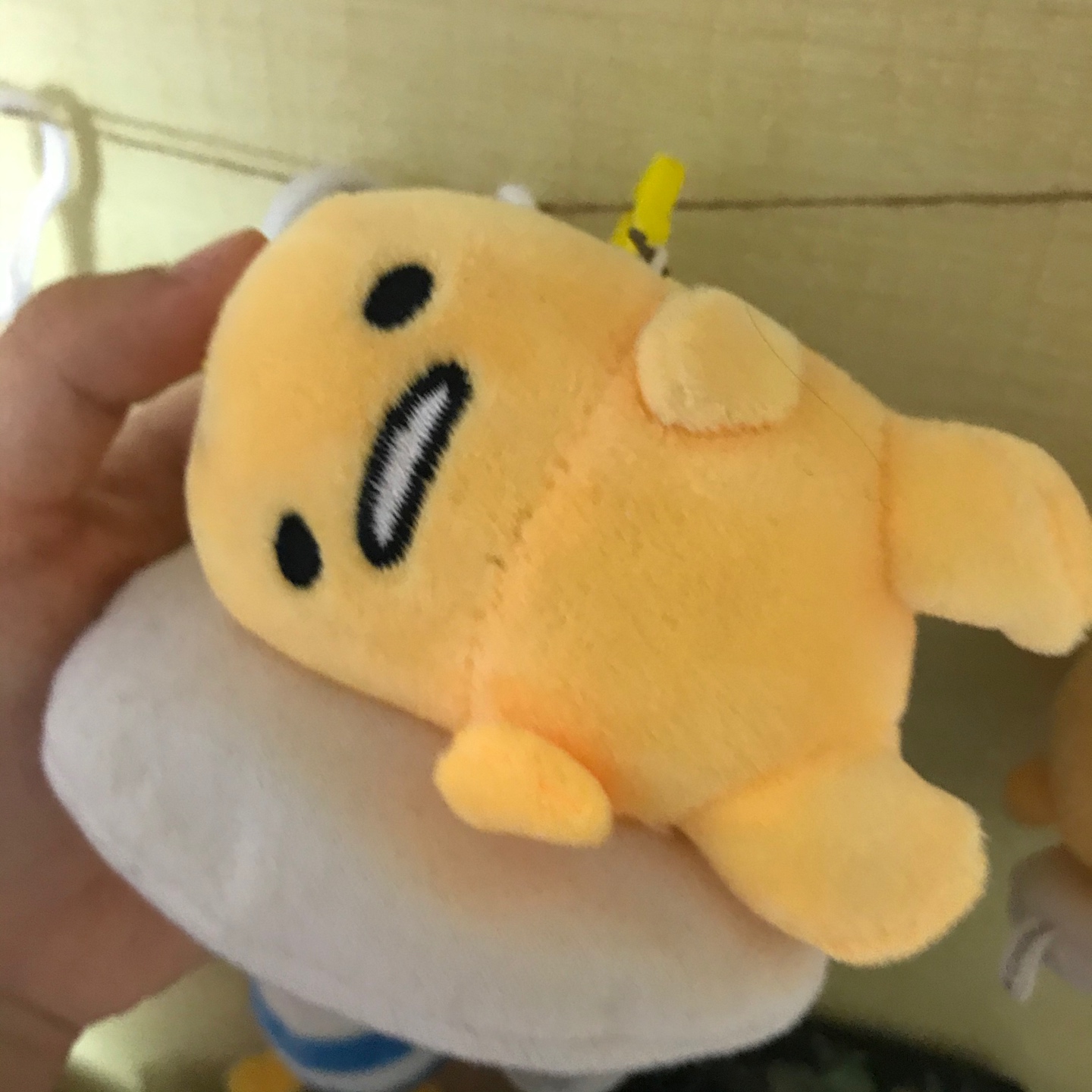 구데타마 | 콜리(Colley)