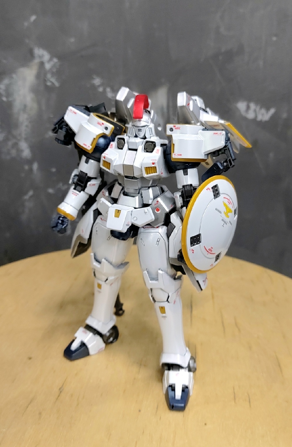 MG 톨기스 EW 티타늄 피니쉬 | 콜리(Colley)