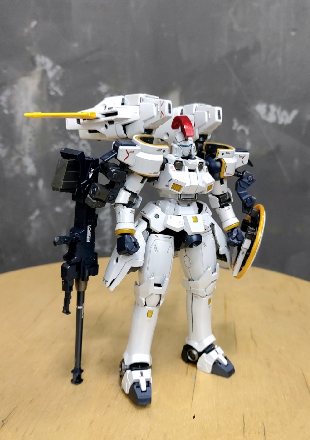 RG 톨기스 EW 티타늄피니쉬 | 콜리(Colley)