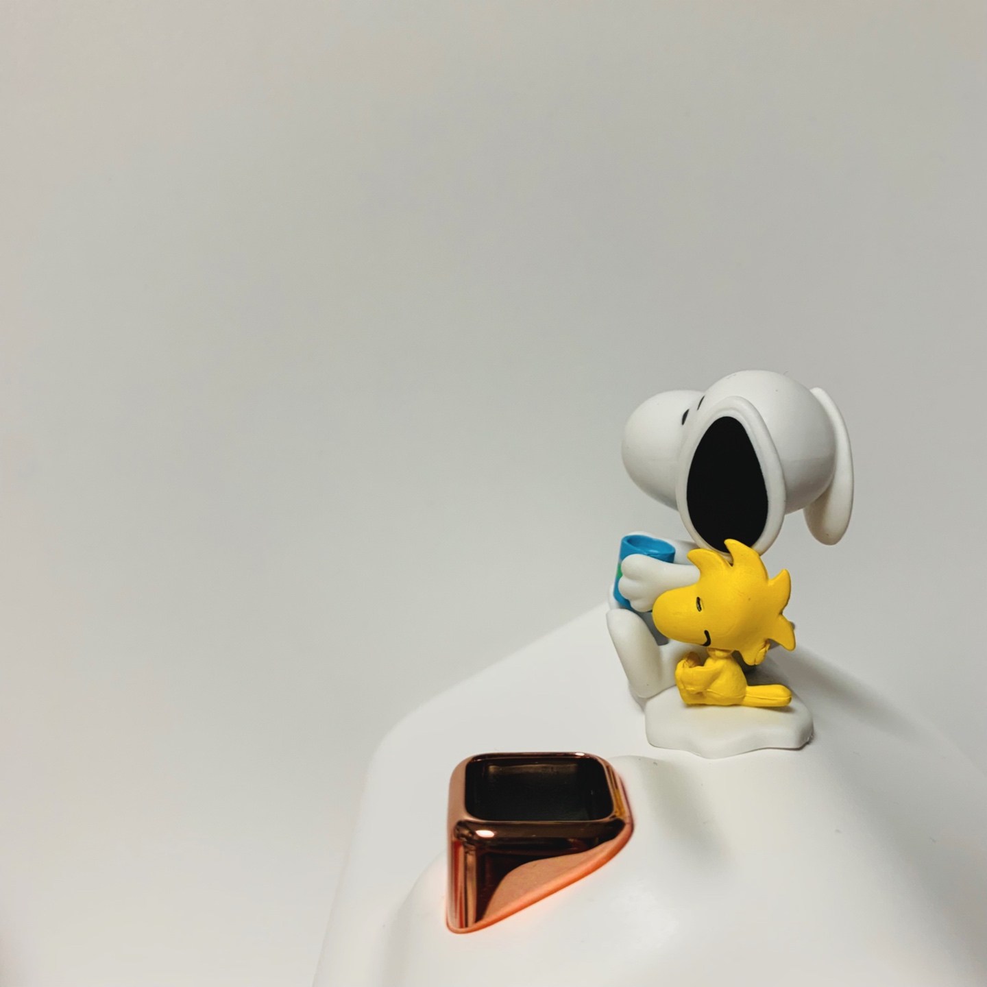 🏠☕️ | 콜리(Colley)