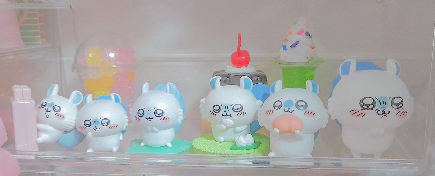 모몽가 잔뜩 🖤 | 콜리(Colley)