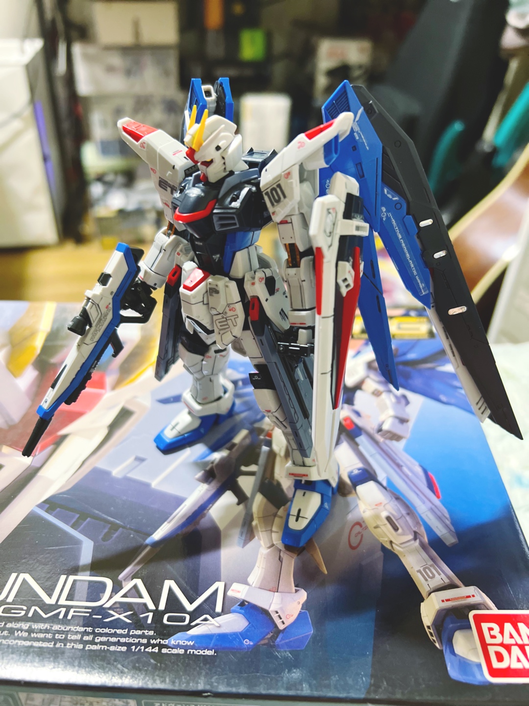 RG 프리덤 | 콜리(Colley)