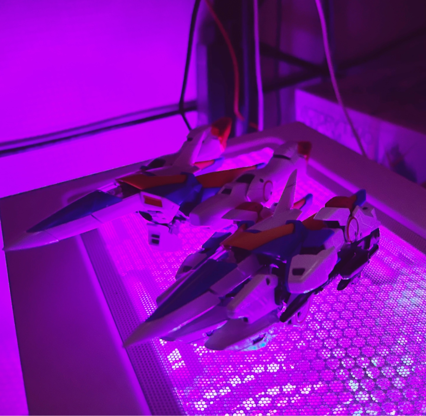 피씨 Led 조명에 ㅎ | 콜리(Colley)