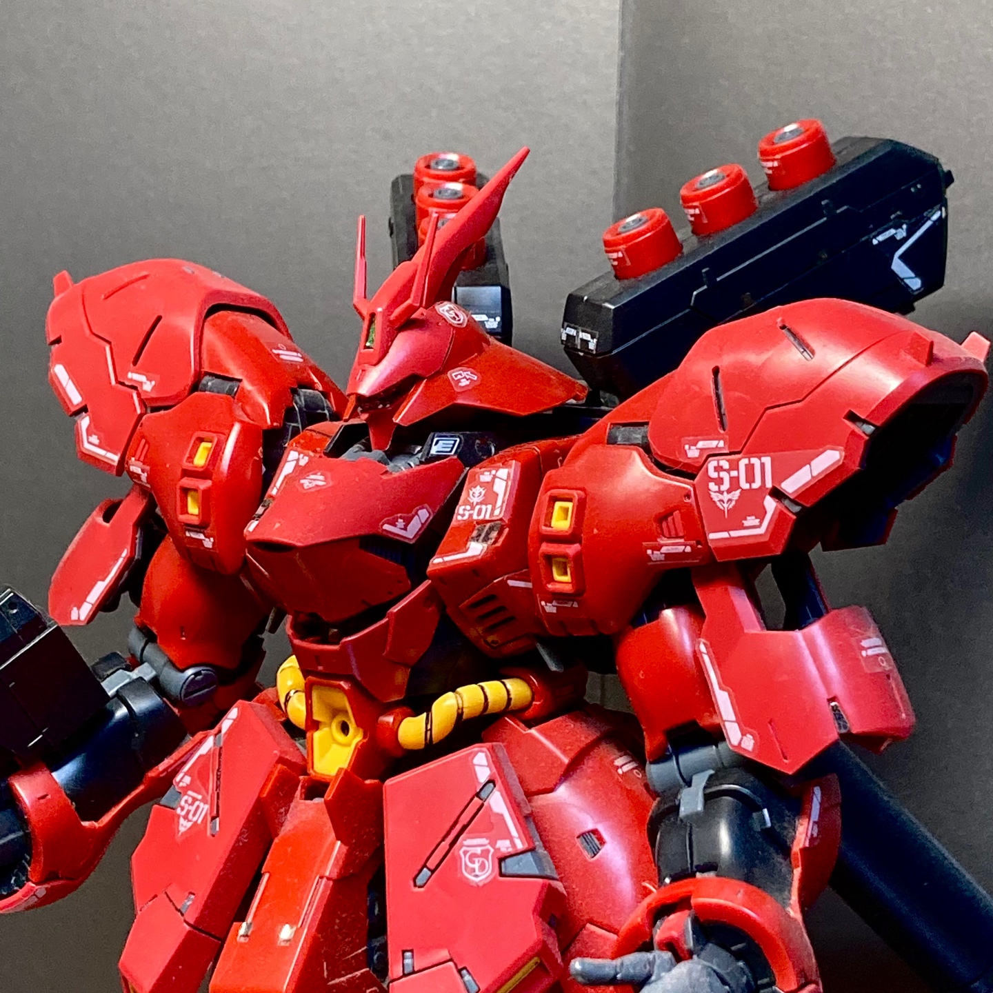 RG 사자비 | 콜리(Colley)