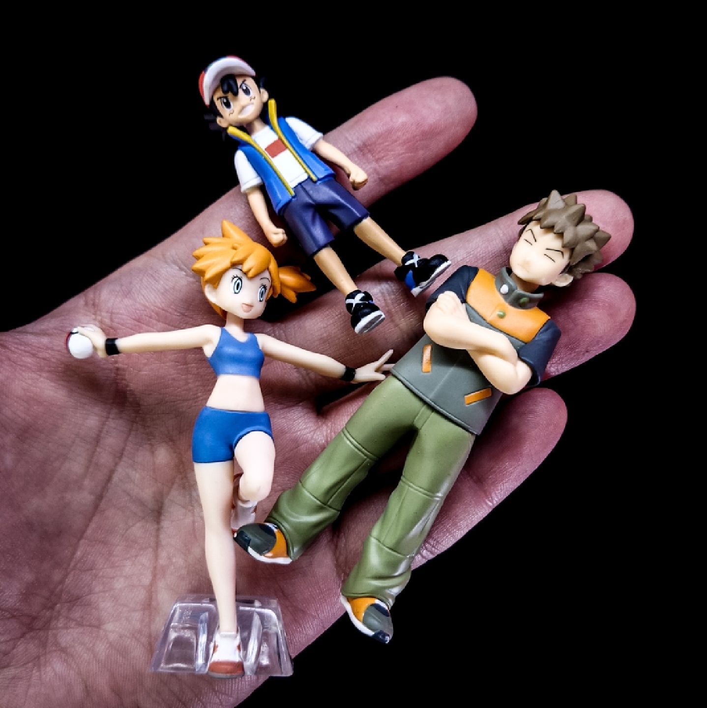 POKEMON ORIGIN TRIO | 콜리(Colley)