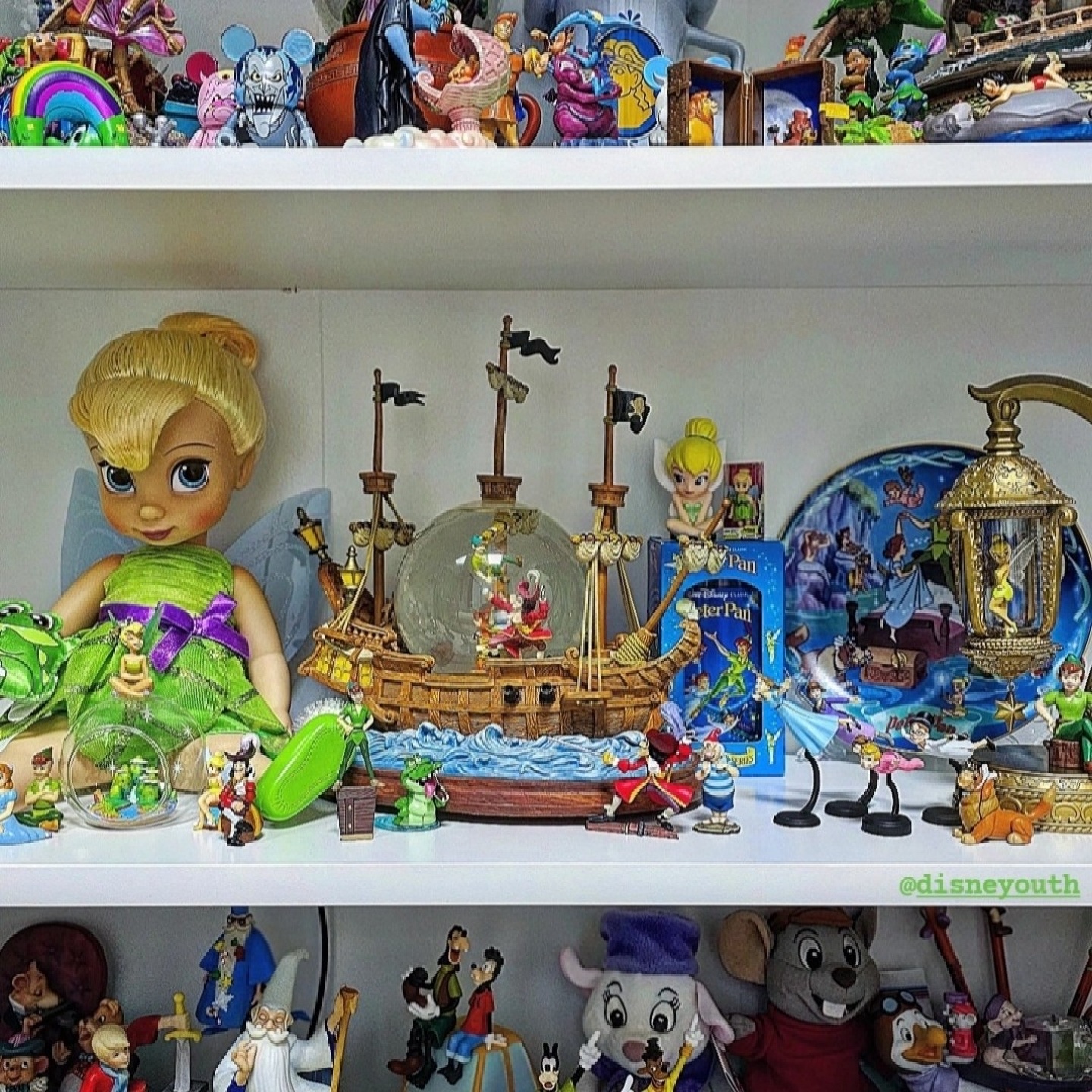 피터팬 70주년 기념으로 데려온 | 콜리(Colley)