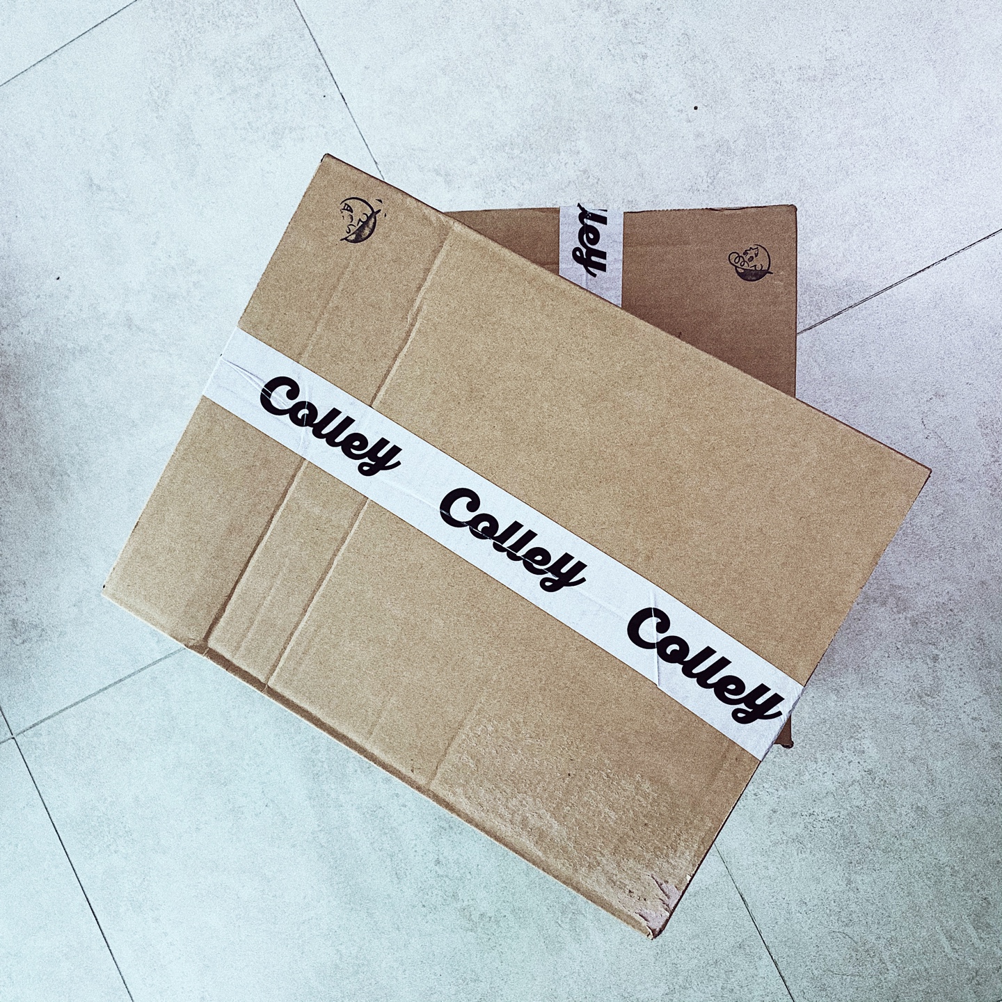 [𝘊𝘰𝘭𝘭𝘦𝘺 이벤트] | 콜리(Colley)