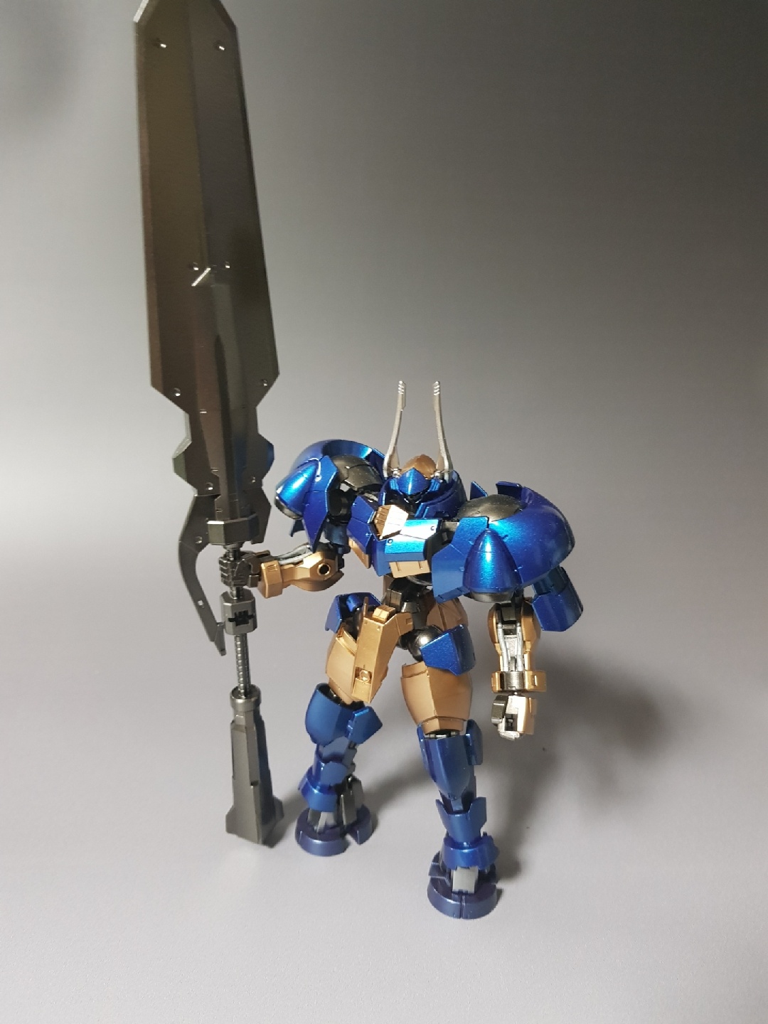 hg 헬름비게 | 콜리(Colley)