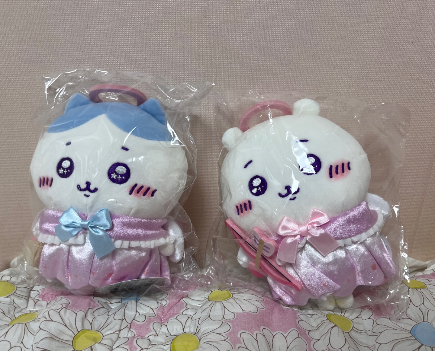 천사 하치와레 천사 치이카와 누이 콜리 Colley