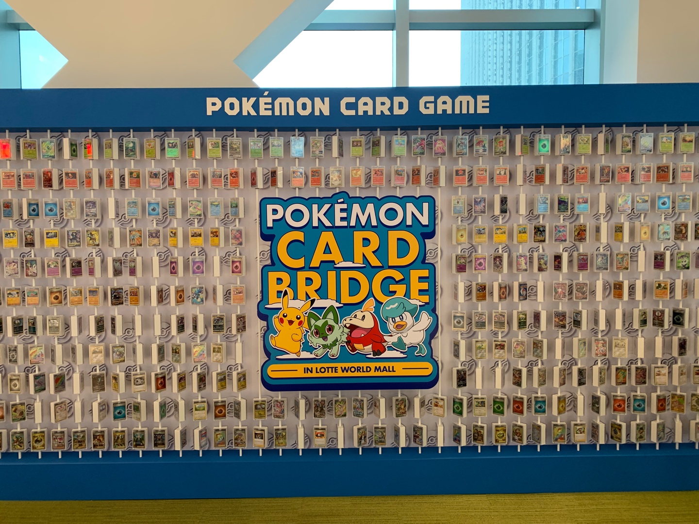 잠실 포켓몬 스프링 페스타 2023 | 콜리(Colley)