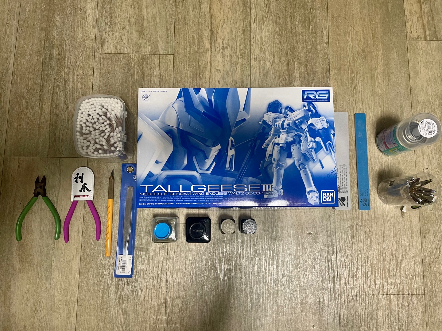 [RG] 톨기스 lll 시작 | 콜리(Colley)