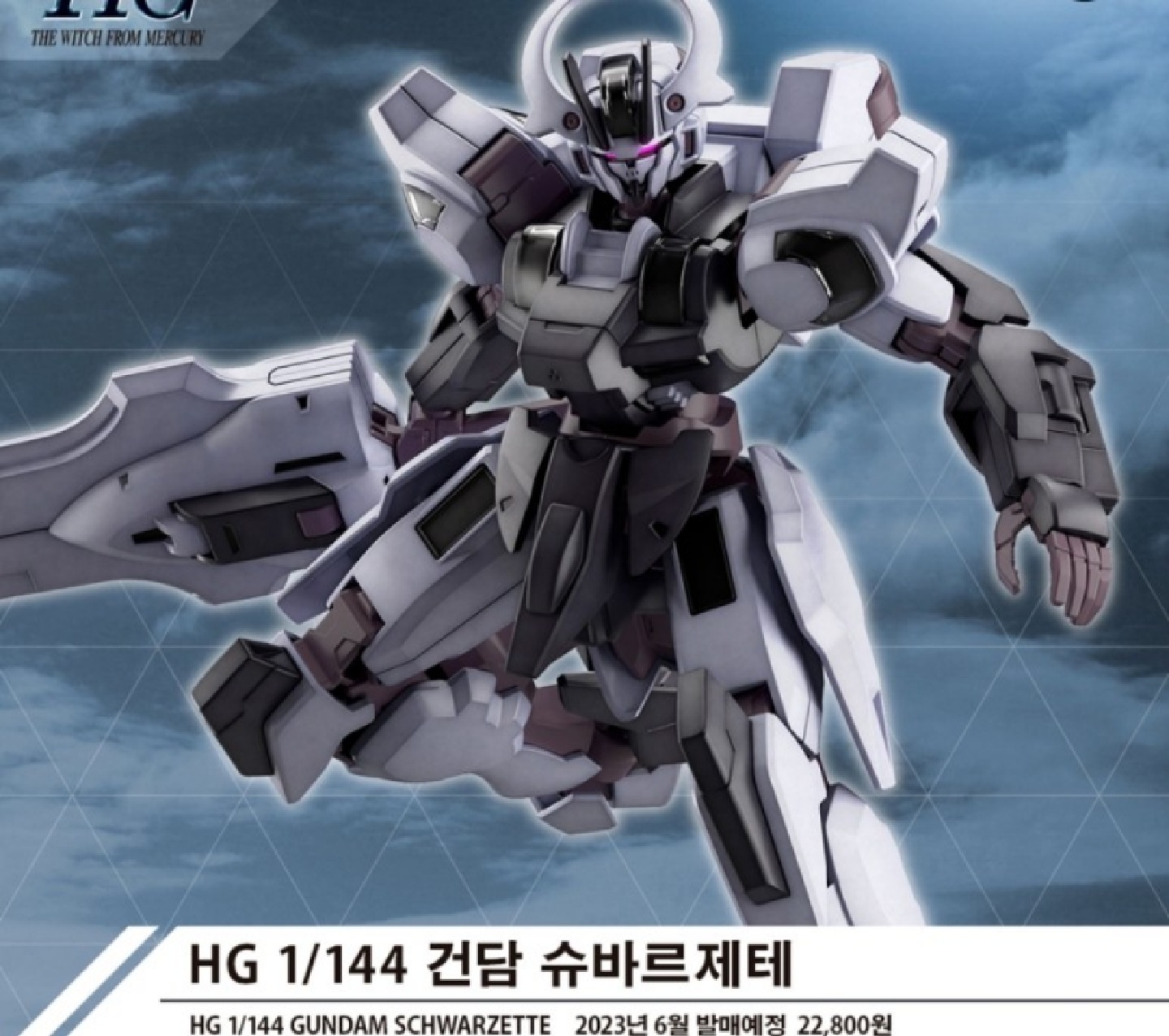 HG 슈바르제테 구매 성공! | 콜리(Colley)