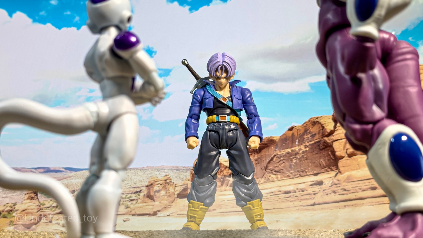 SHF 트랭크스 | 콜리(Colley)