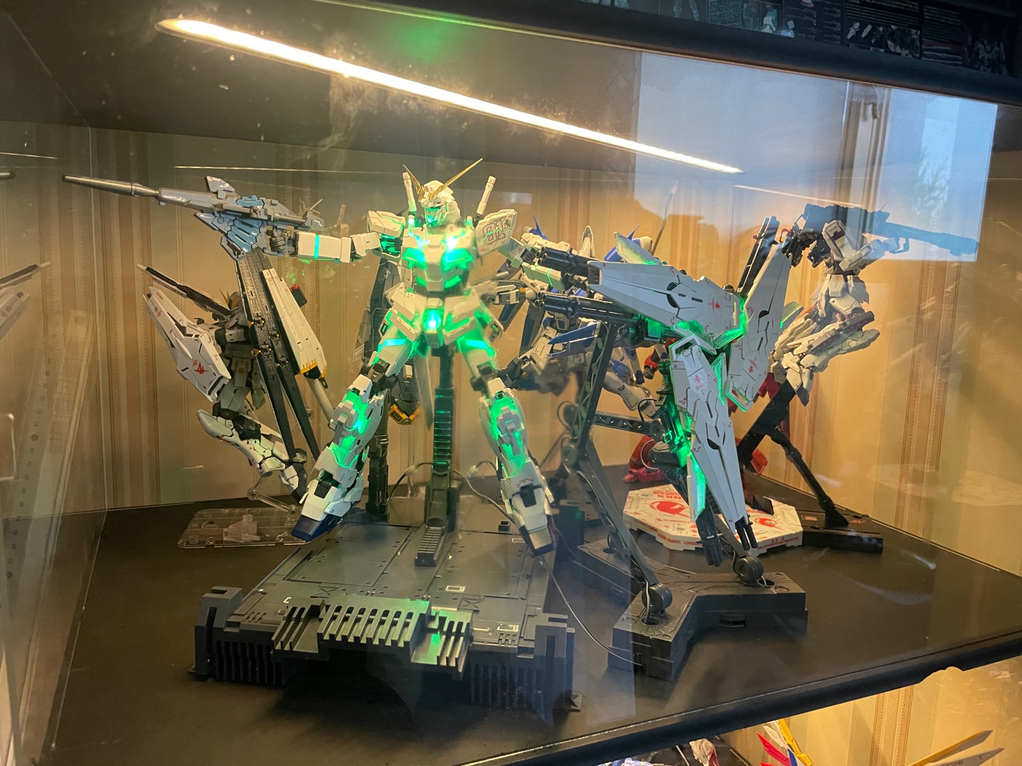 고정성, 관절의 튼튼함, 개인 스탠드 거기다 LED까지 다 좋았지만 20만원 중반대에서 후반 왔다갔다 하는 개 헬 가격이지만 | 콜리(Colley)