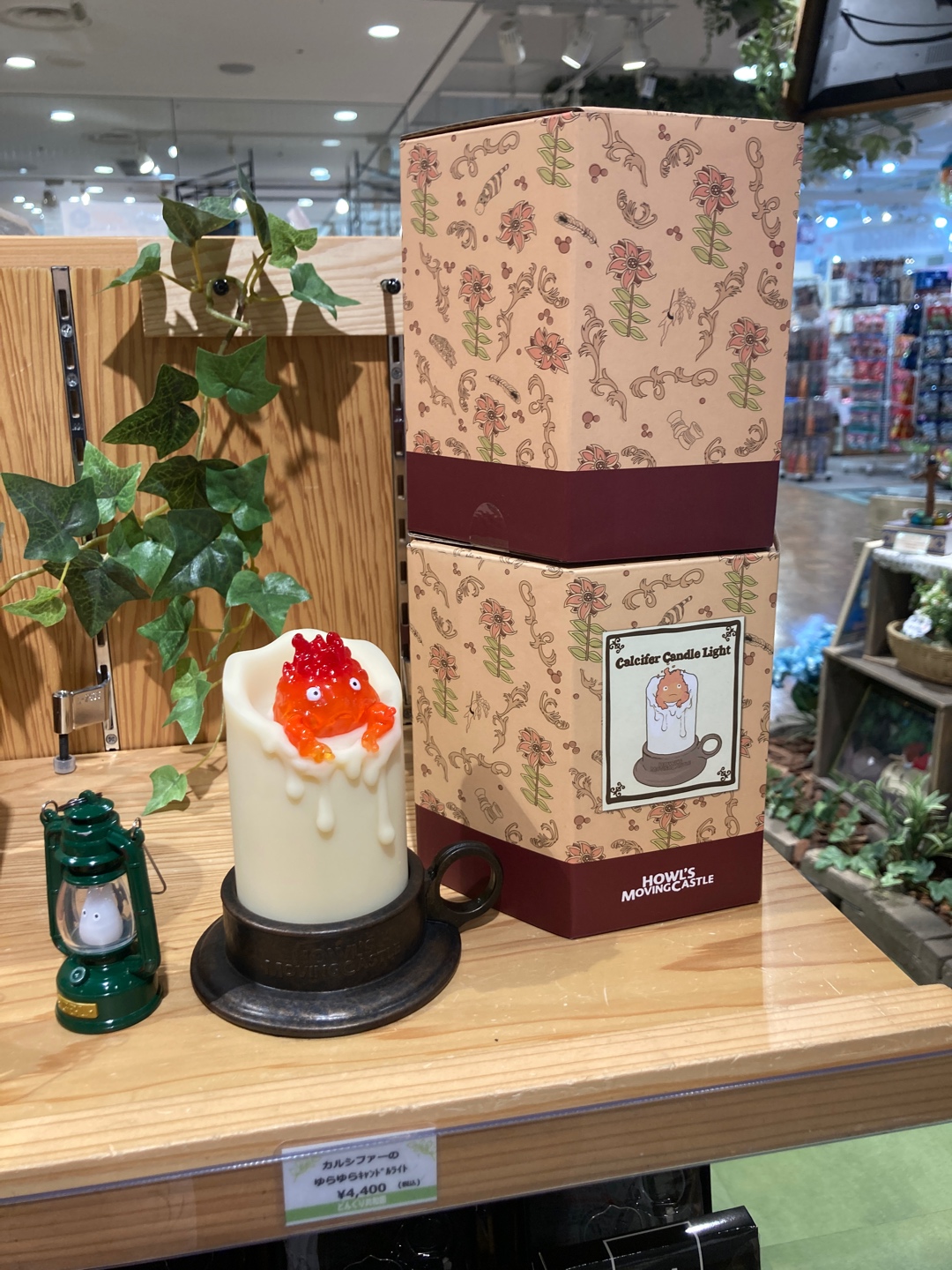 🔥 | 콜리(Colley)