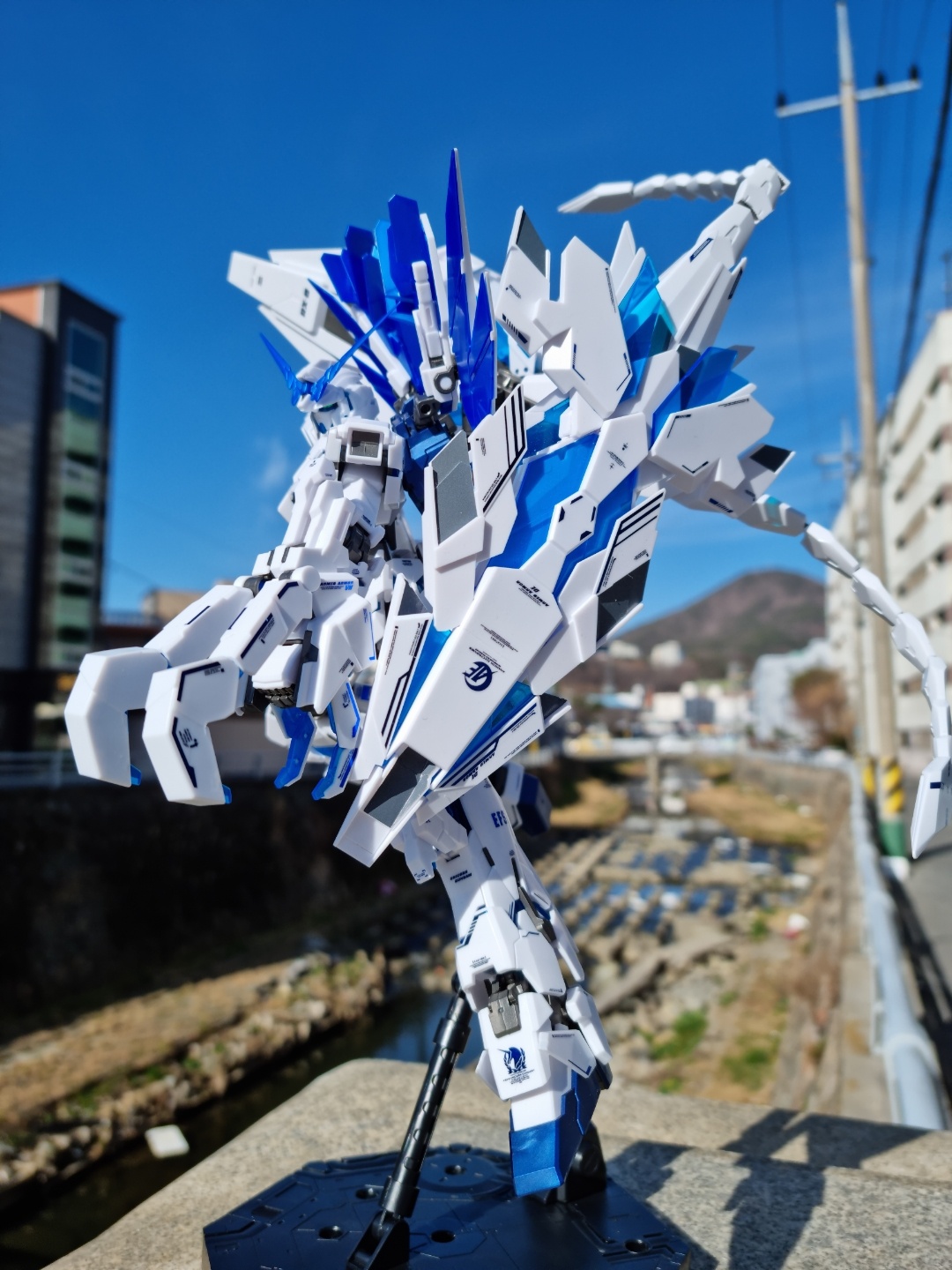 본문을 입력하세요 | 콜리(Colley)